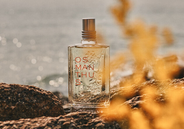 Understanding Fragrances | Perfume Tips | L'Occitane UK | L'OCCITANE UK